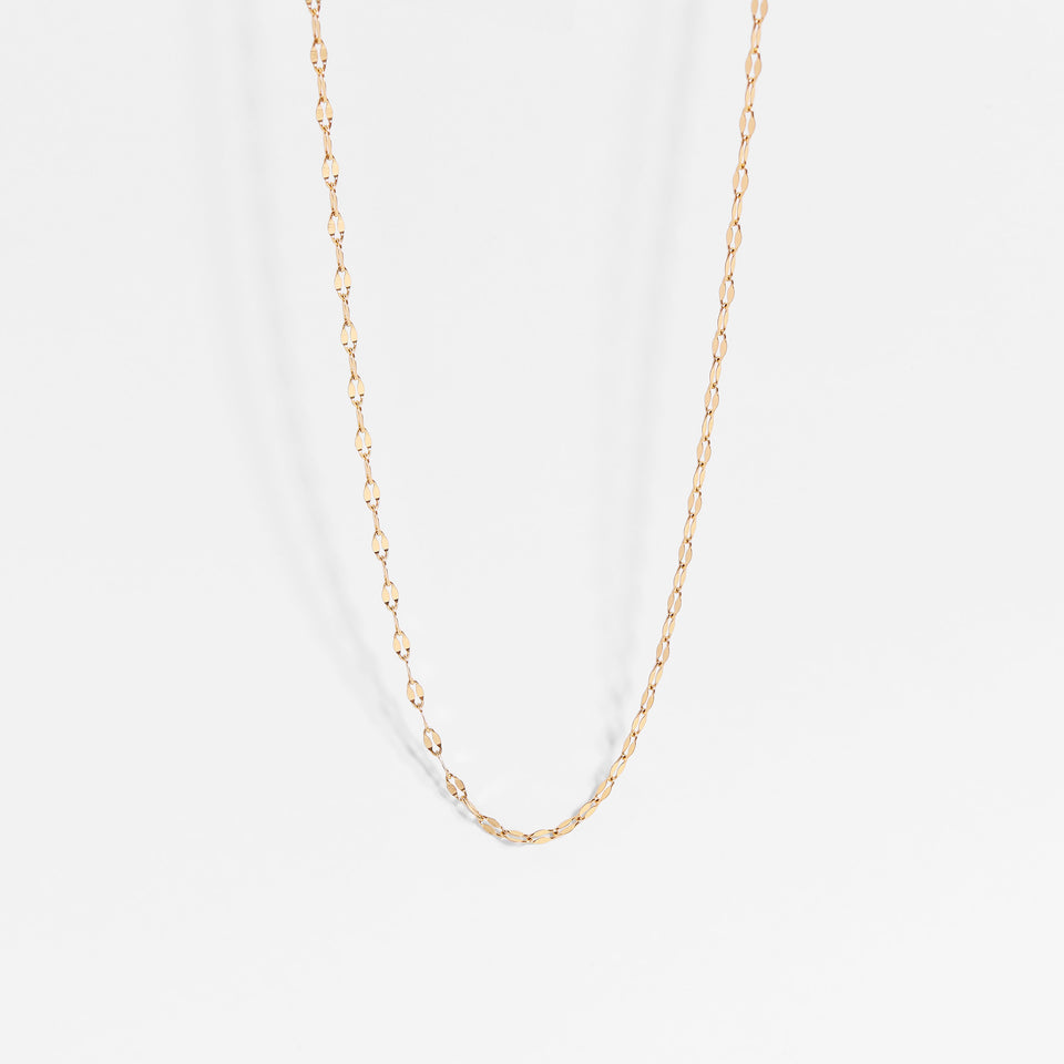 18K Gold PVD Stainless Steel Lip Chain Necklace / CHN9954